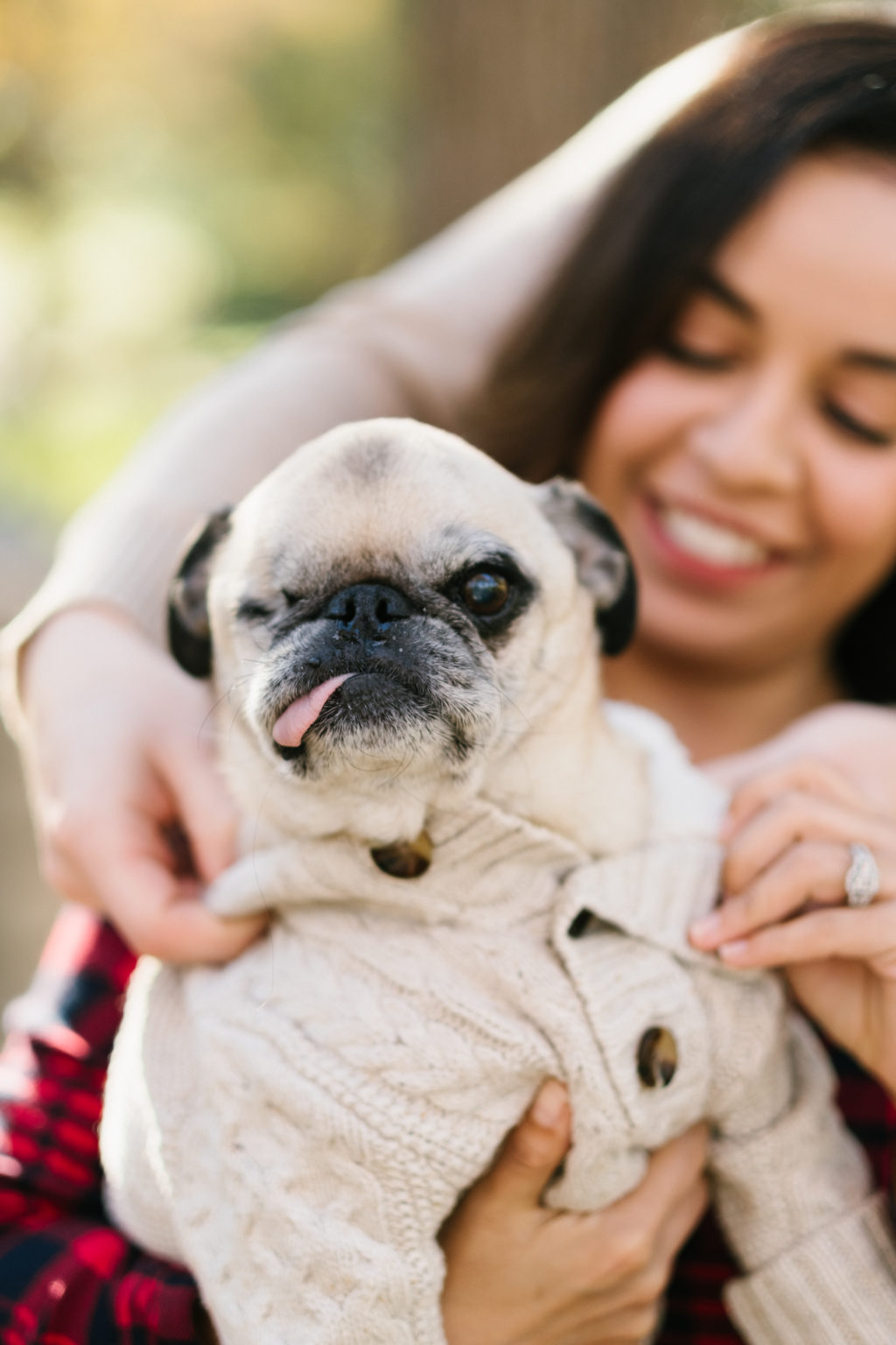 Holiday Mini-Sessions at Prather Park | Dallas Photographer | Highland Park